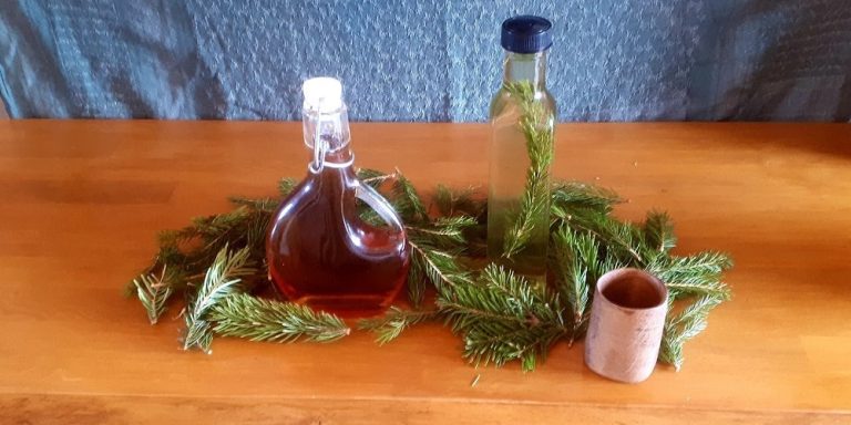 Liqueur De Sapin - La Meilleure Recette